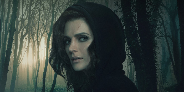 Absentia (2017-2020): Σειρά – Η επιστροφή από την απουσία